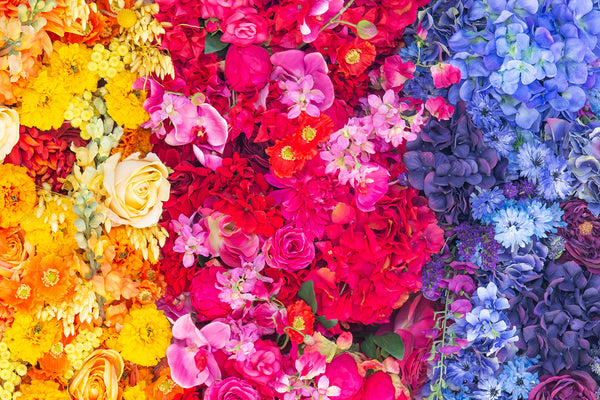 Color Theory Floral Design Class – Cass School of Floral Design